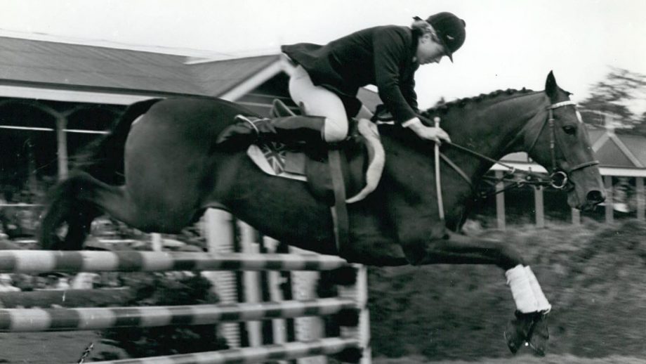 15 famous horses in history – and their incredible stories