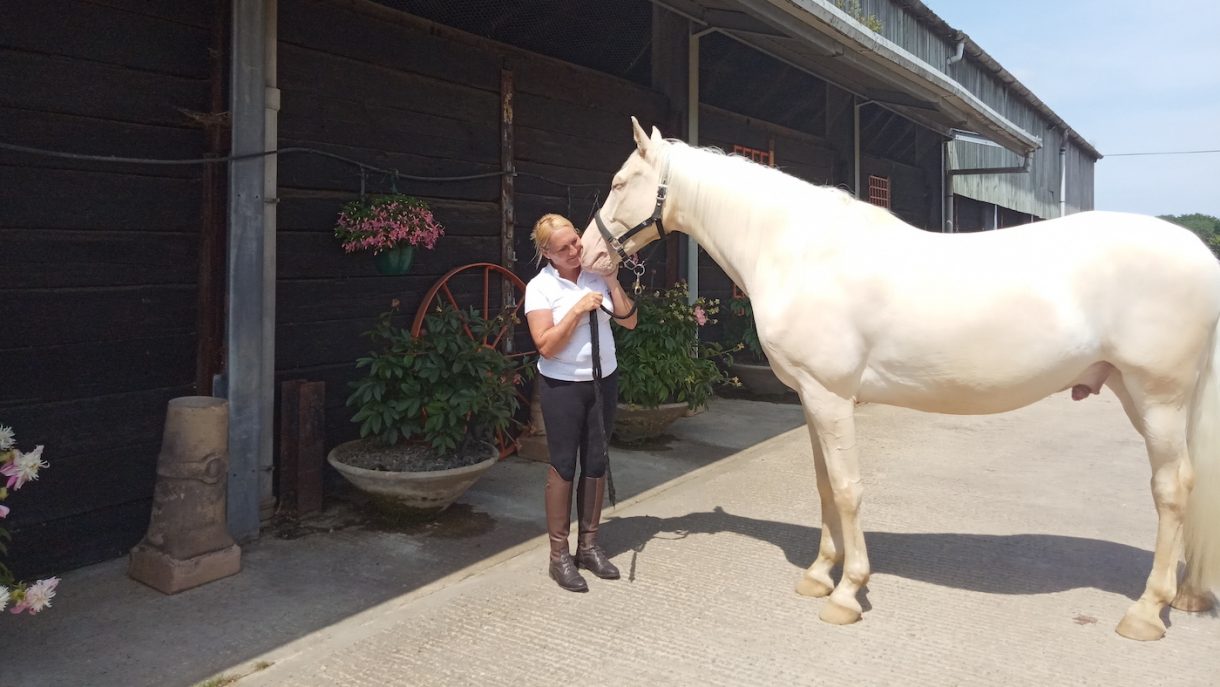 Rider who lost dream horse after husband’s accident finds him years ...