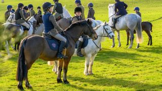 Best riding boots for every occassion | Horse & Hound