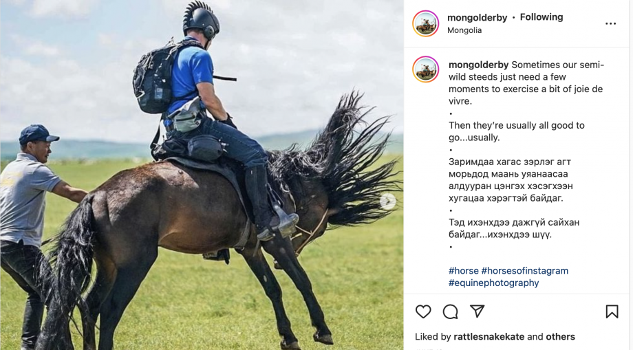 The incredible Mongol Derby and 7 other great bits of horsey social ...