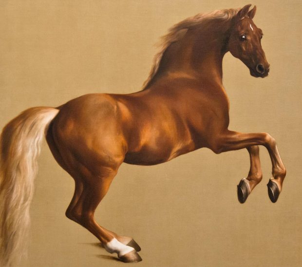 15 famous horses in history – and their incredible stories