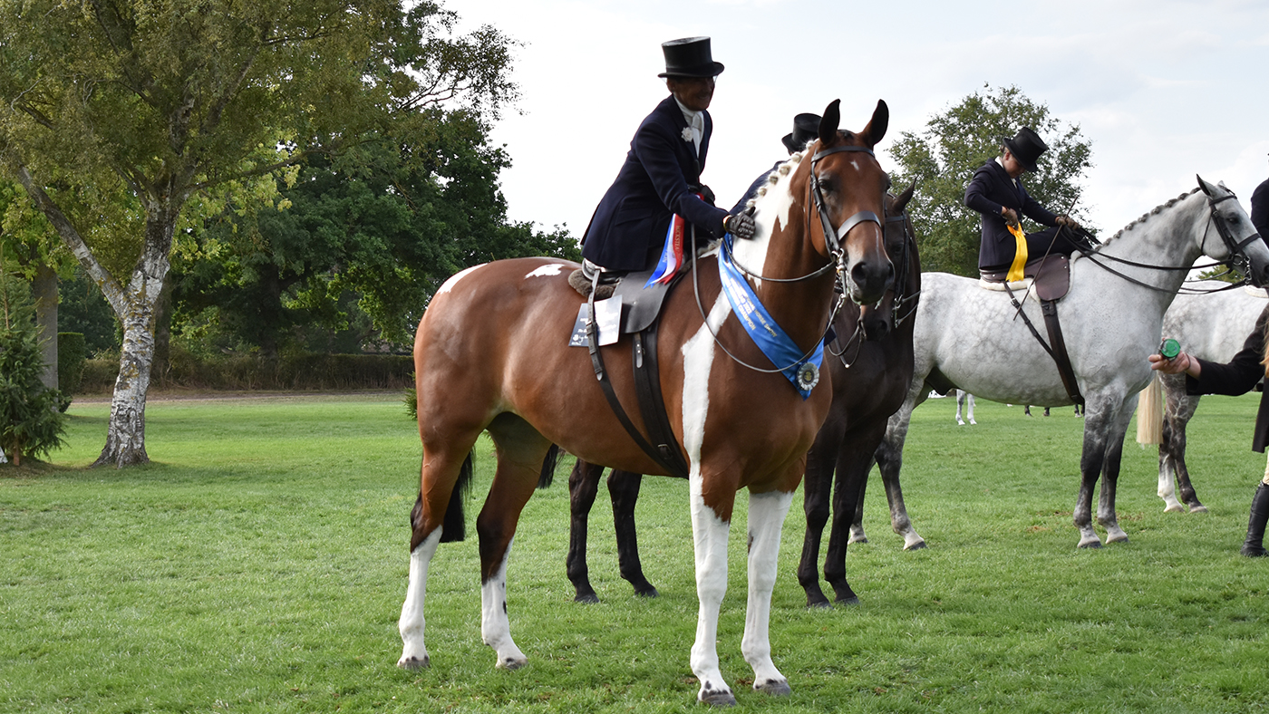 RIHS ladies’ hunter championship results - Horse & Hound