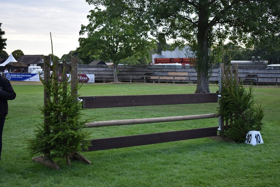 RIHS working hunter classes: walk the 2022 course - Horse & Hound