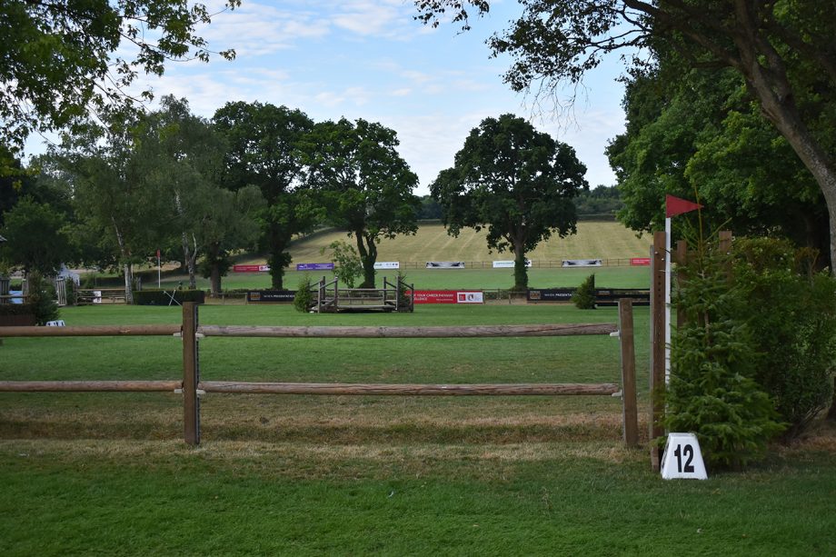 RIHS working hunter classes: walk the 2022 course - Horse & Hound