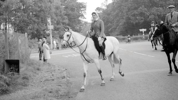 The Queen with horses in pictures: celebrating special moments in her life