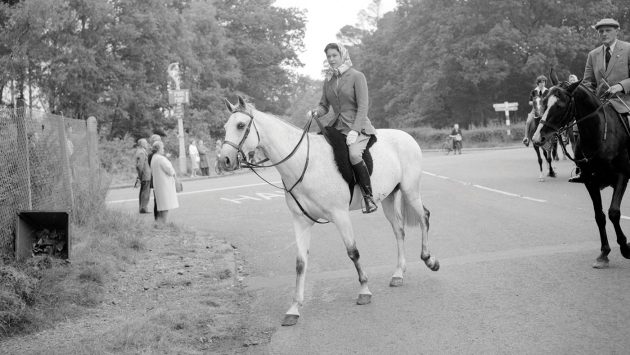 The Queen with horses in pictures: celebrating special moments in her life