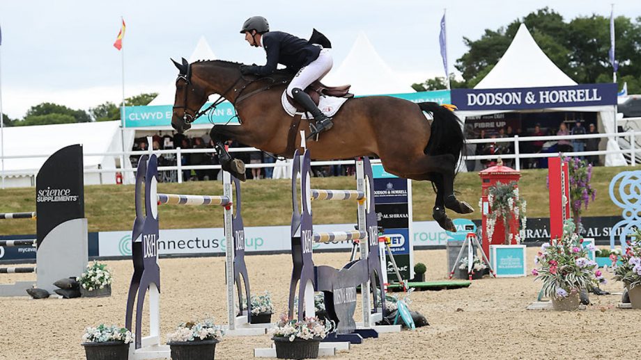Star stallion Comme Il Faut has been retired from competition