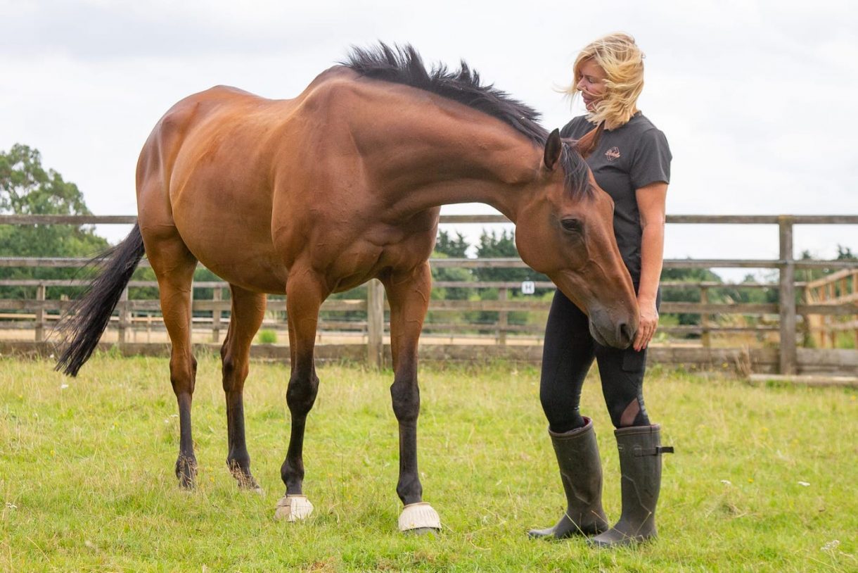 ‘He’s amazing!’ Grand National runner wins at his first dressage outing ...