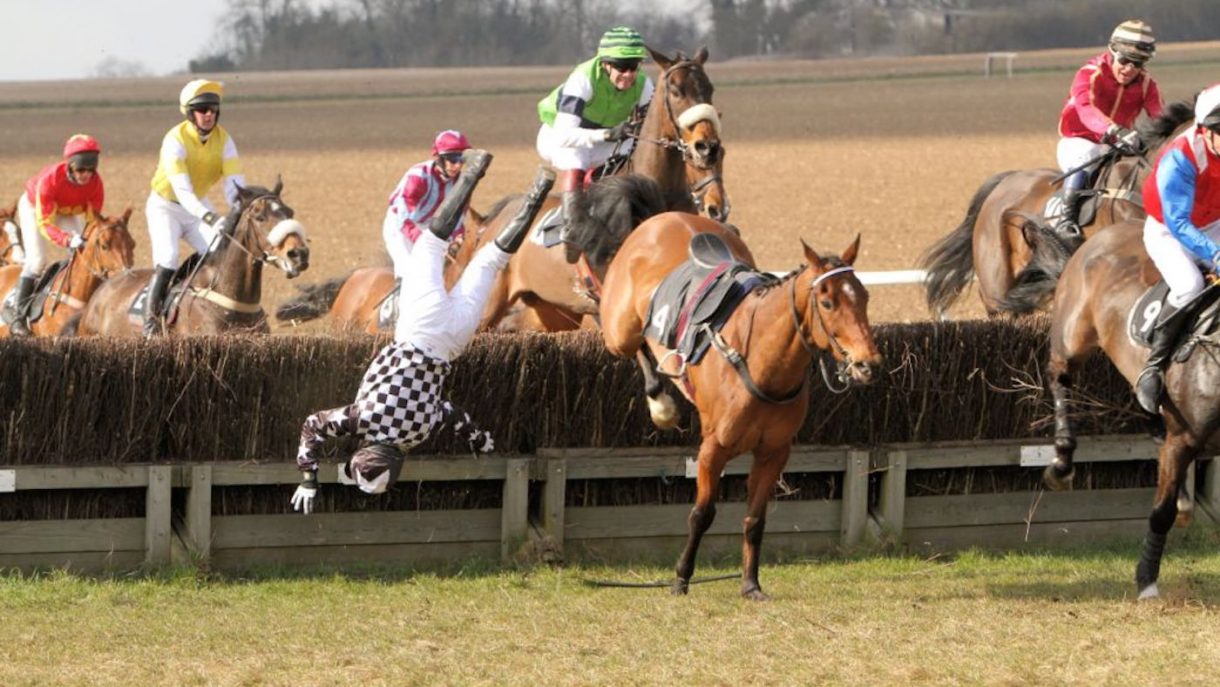 Southfield Lily: the racehorse recovering from a paralysed face