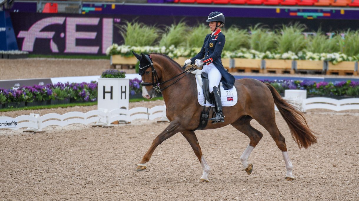 The best dressage horses in the world right now – check out the top 10