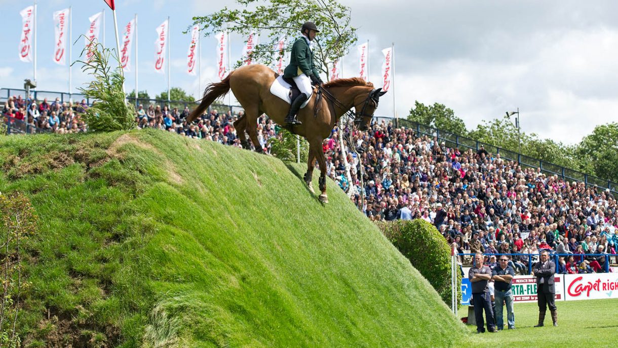 ‘The price you pay for loving them is losing them’: farewell to ...