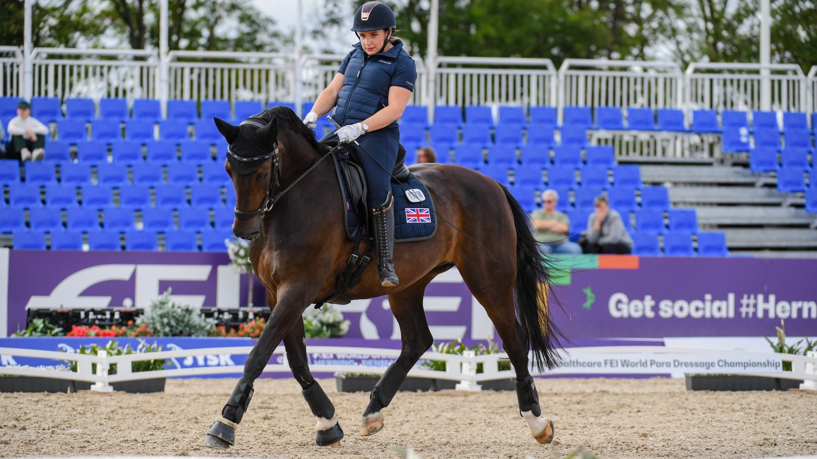 Equestrian news from Horse & Hound