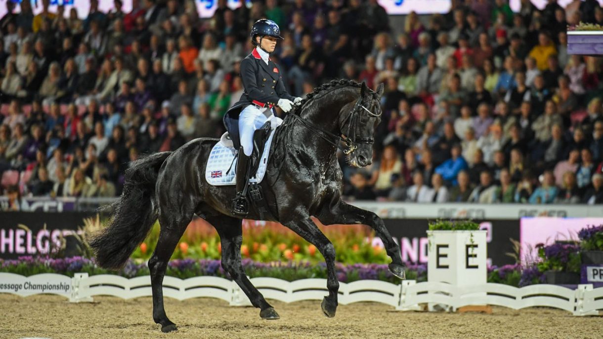 The best dressage horses in the world right now – check out the top 10