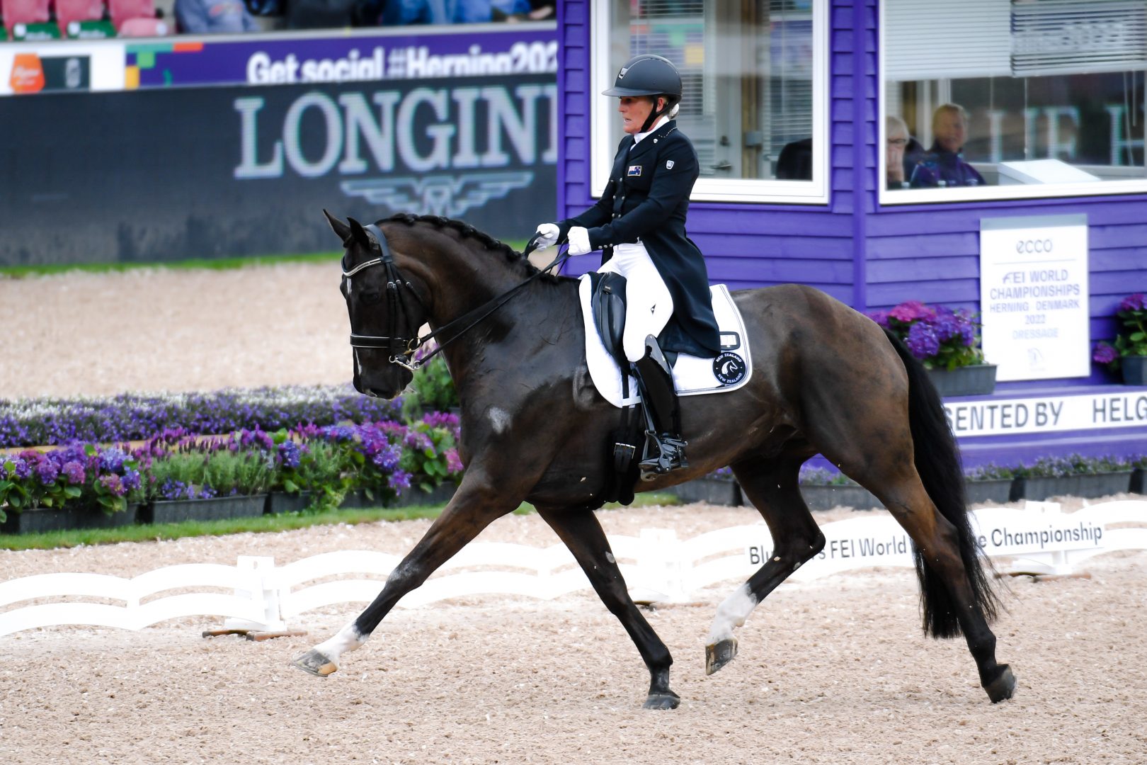 World Dressage Championships results: Gareth Hughes takes special lead