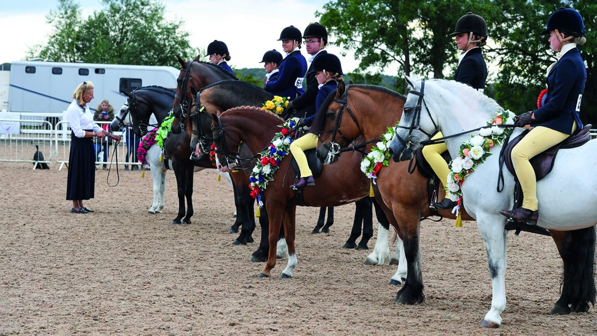 British Show Pony Society Championships and Olympians in Scotland