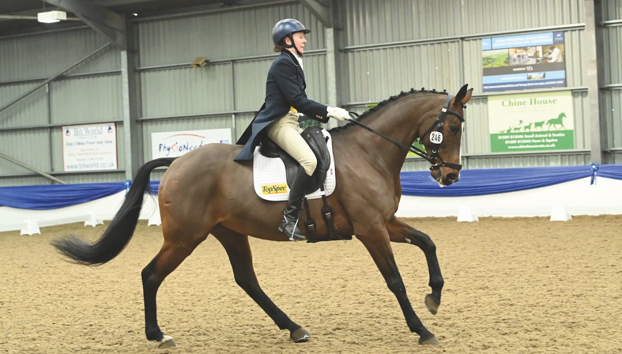 ‘There were four of us in the arena!’ Pregnant partners bow out on a ...