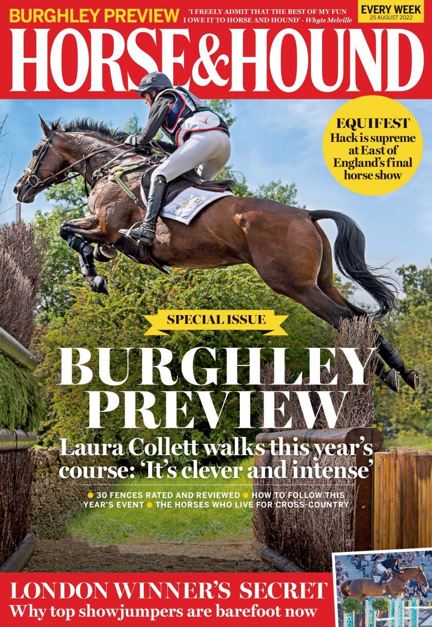 Horse & Hound; 25 August 2022 - Horse & Hound