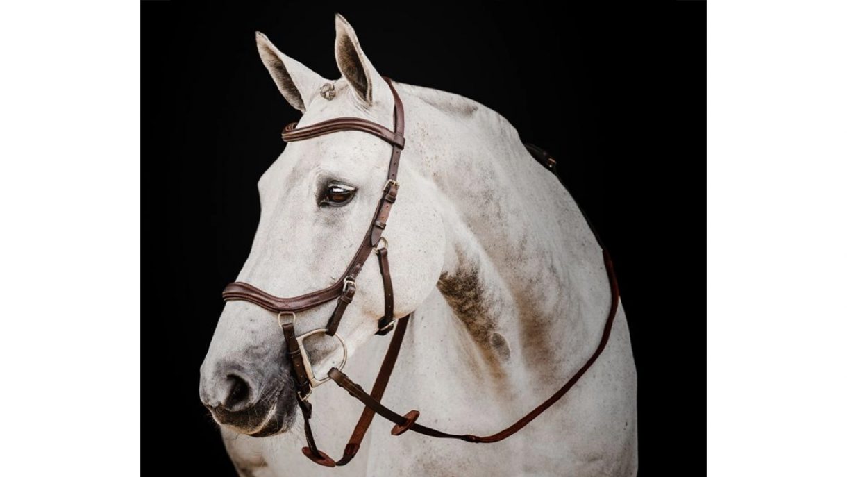 Best anatomical bridles for all budgets | Horse & Hound