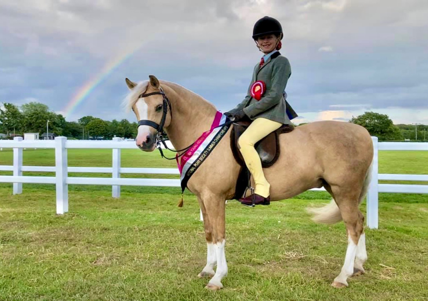 Welsh pony Laithehill Flute has died aged 12 - Horse & Hound
