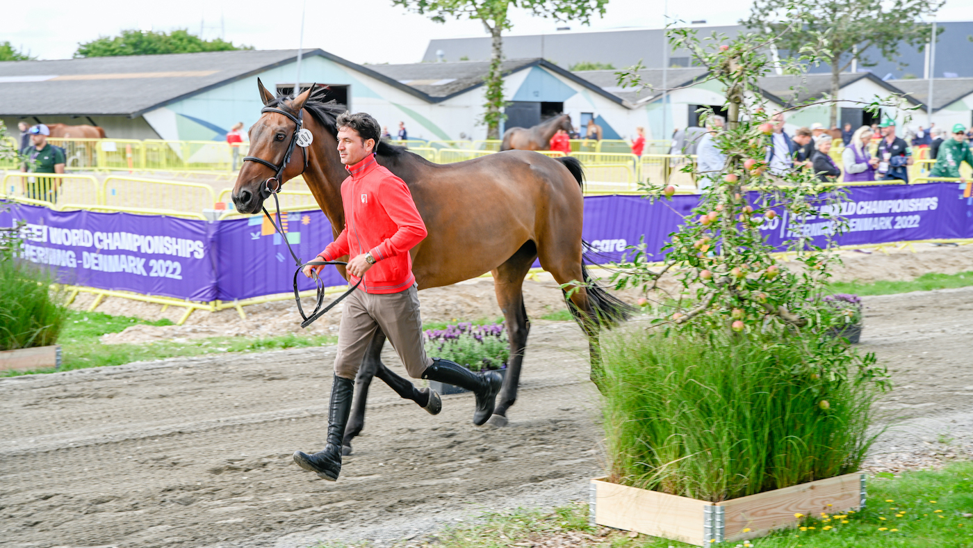 World Showjumping Championships trot-up: five horses to represent