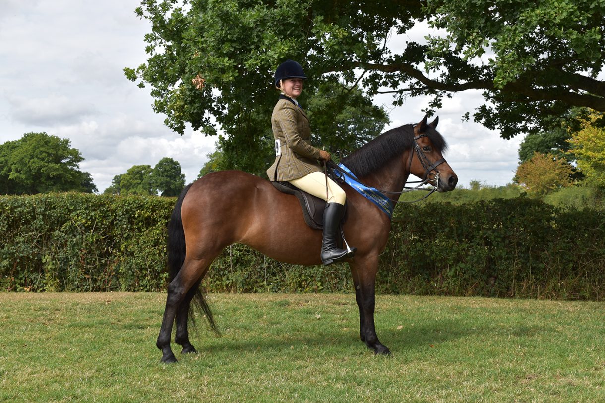 Winners from the 2022 Royal International Horse Show