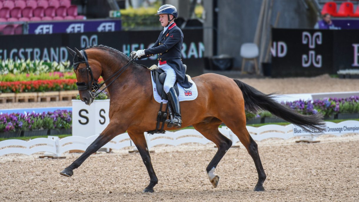World Dressage Championship results: Richard Davison grand prix