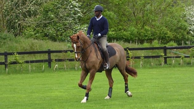 ‘The price you pay for loving them is losing them’: farewell to ...