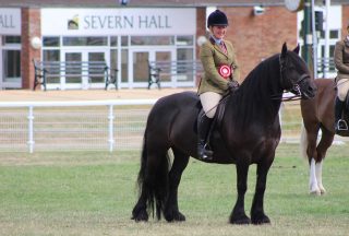 British Show Pony Society Championships and Olympians in Scotland