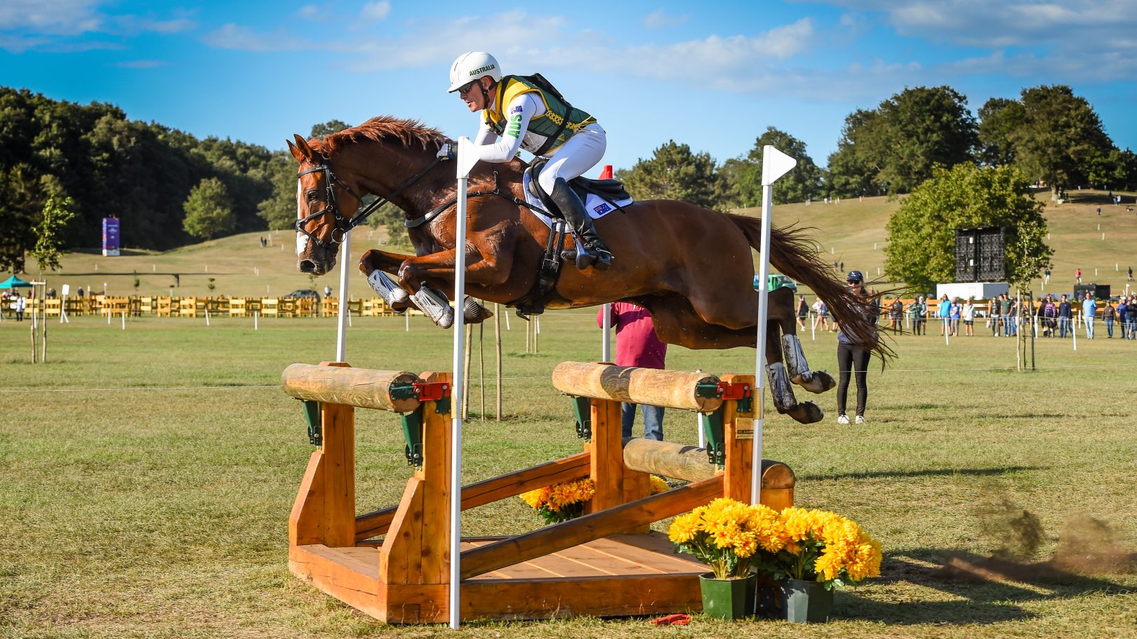 World Eventing Championships cross-country: stops for Olympic medallist