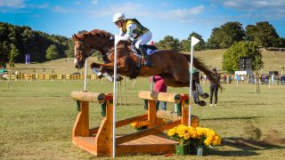 World Eventing Championships cross-country: stops for Olympic medallist