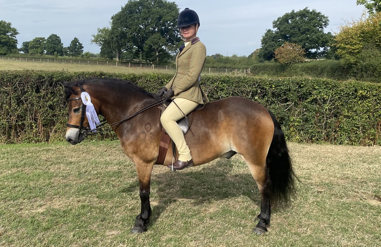 Warleigh Brushing Groom wins HOYS show hunter pony championship