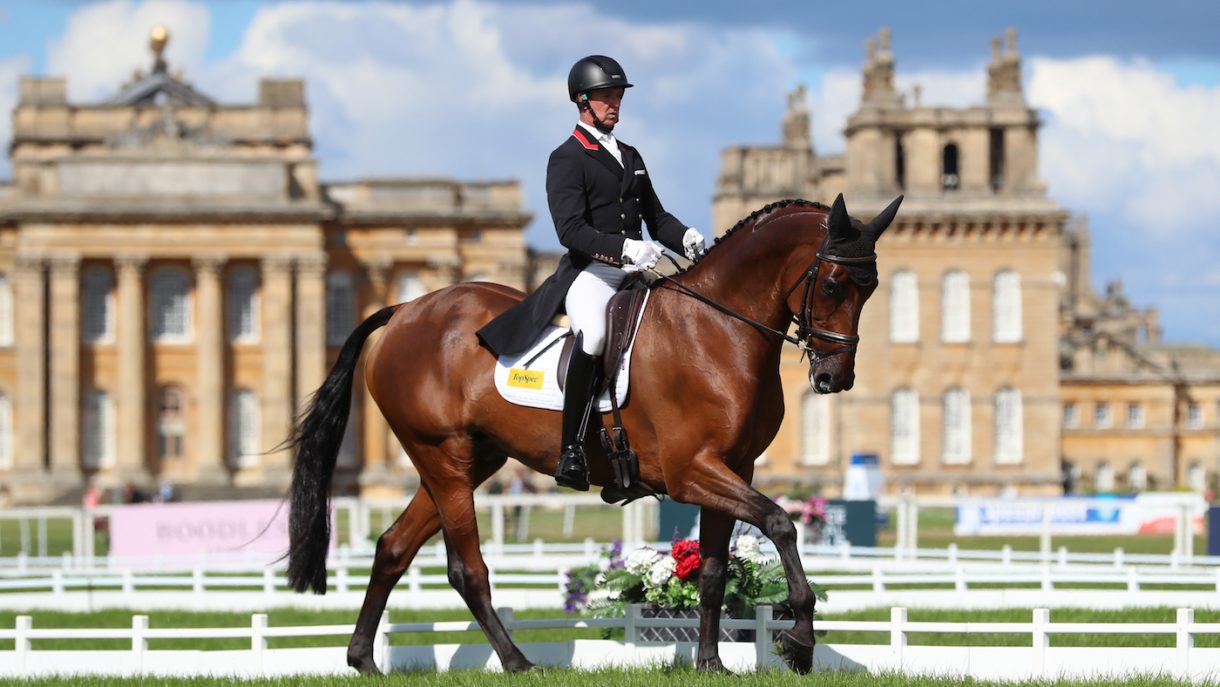 Emma Manton returns to Blenheim with the buckskin Grande By Design