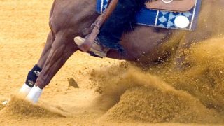 14 tips to get the most out of your first attempt at reining - Horse ...