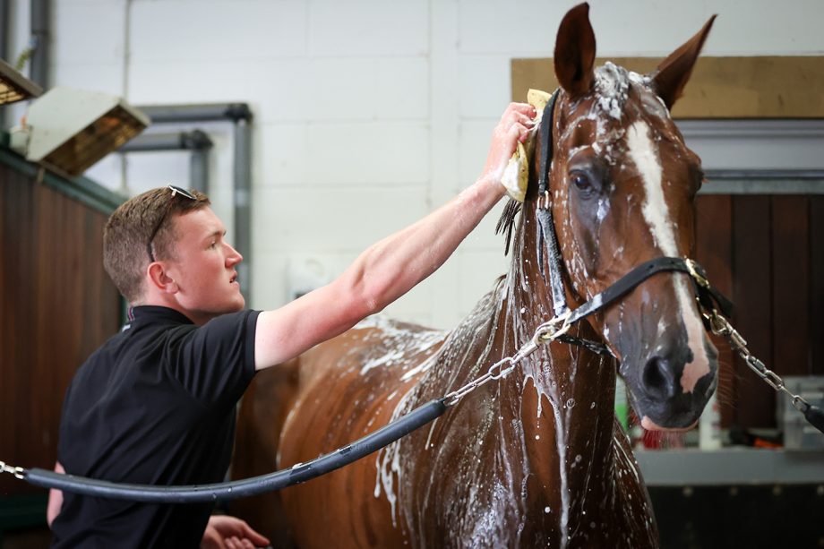 Yasmin Ingham yard: take a look at the eventing World Champion’s yard