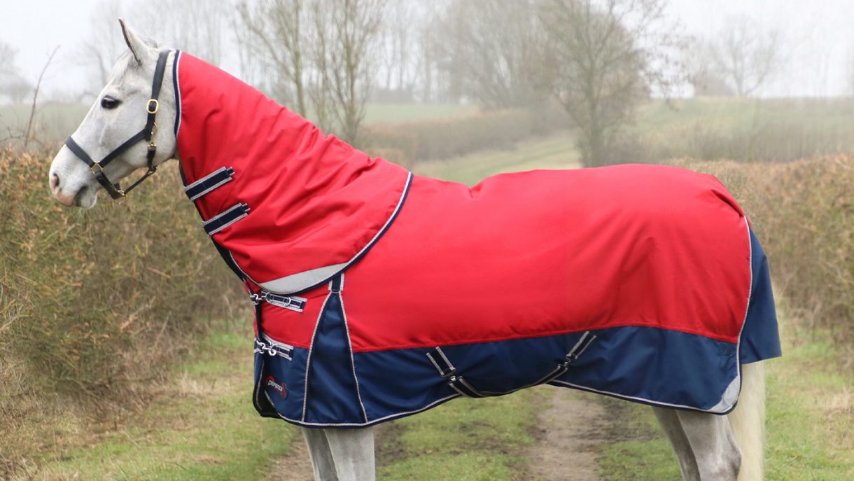 Best medium weight turnout rugs with up to 250g fill | Horse & Hound