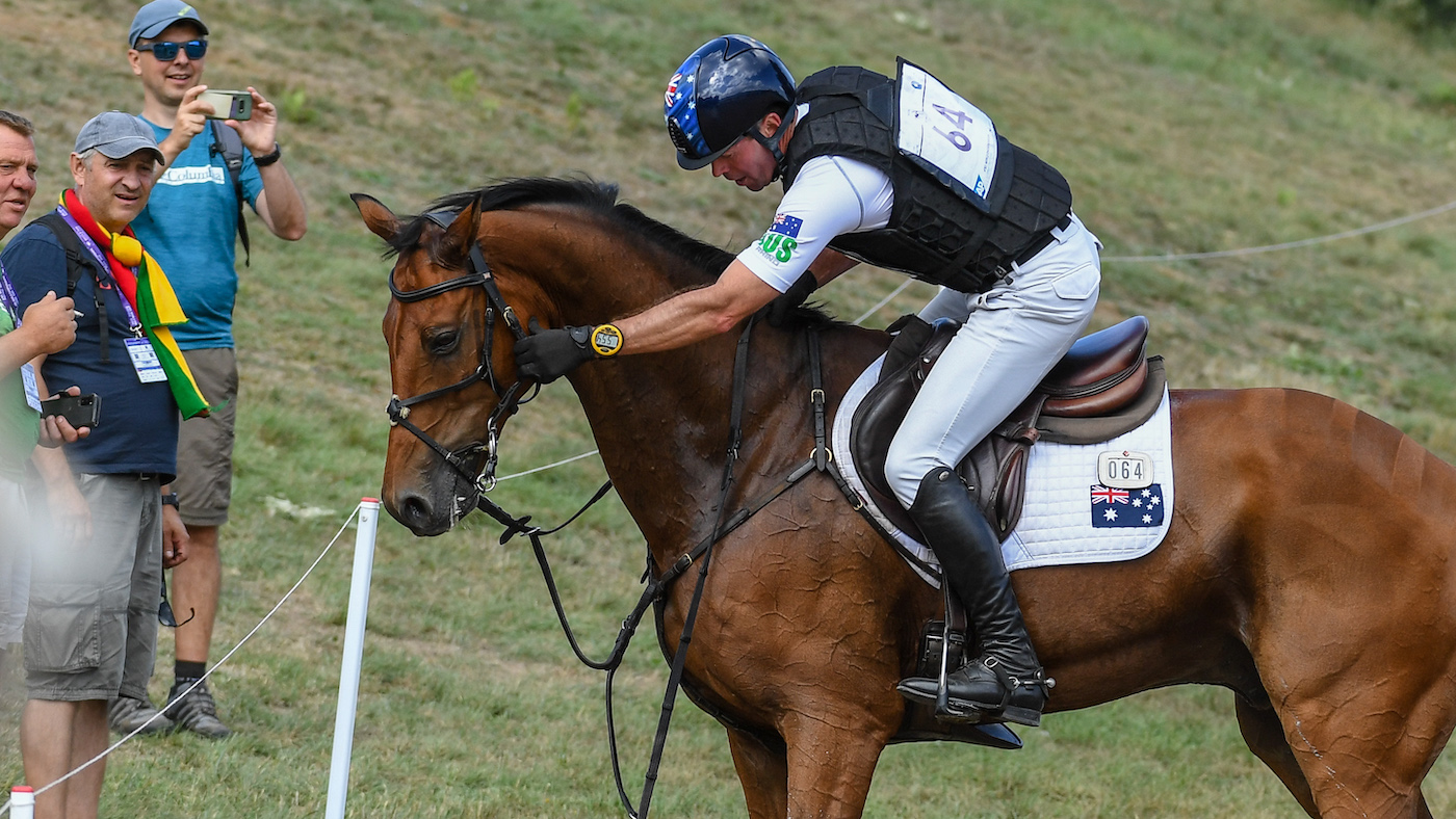Rider's rein breaks on World Eventing Championships cross-country