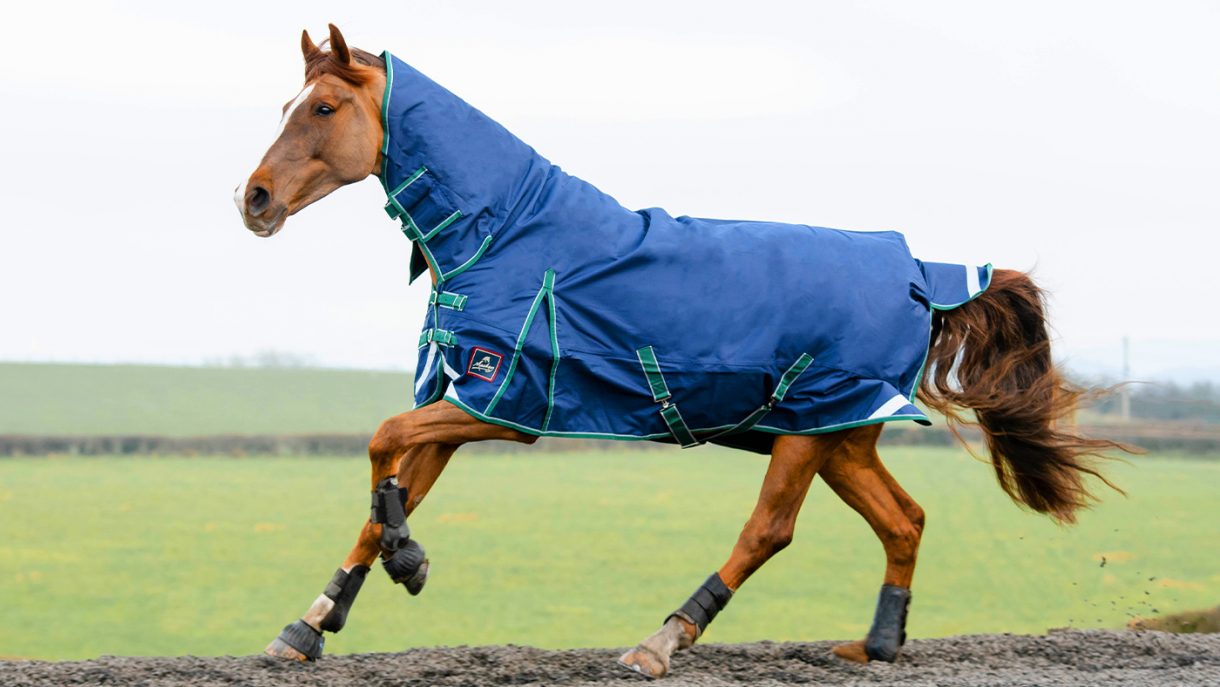 Best lightweight turnout rugs with 50–150g fill | Horse & Hound