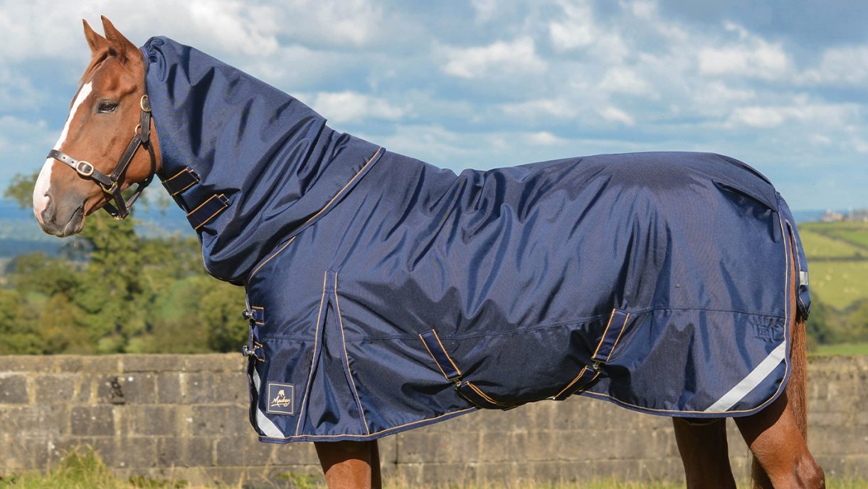 Best medium weight turnout rugs with up to 250g fill | Horse & Hound