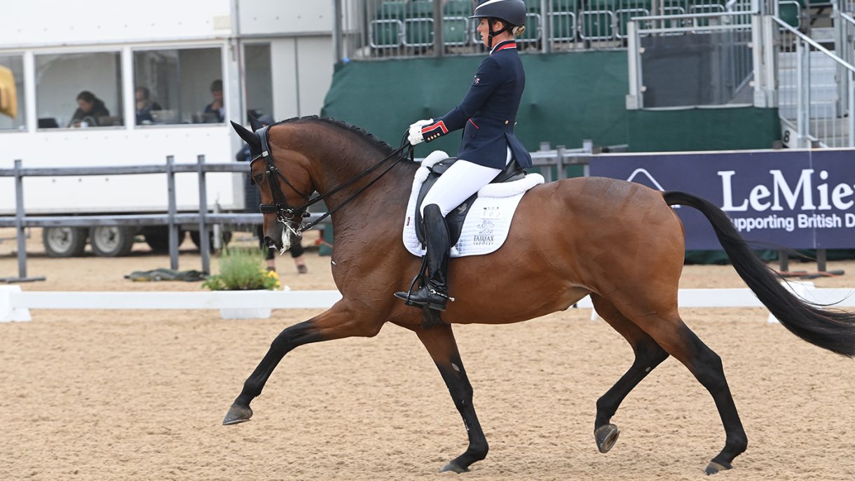National Dressage Championships advanced medium gold results