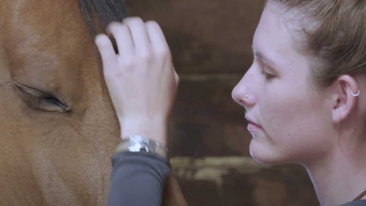 A video every horse owner needs to watch and other things the ...