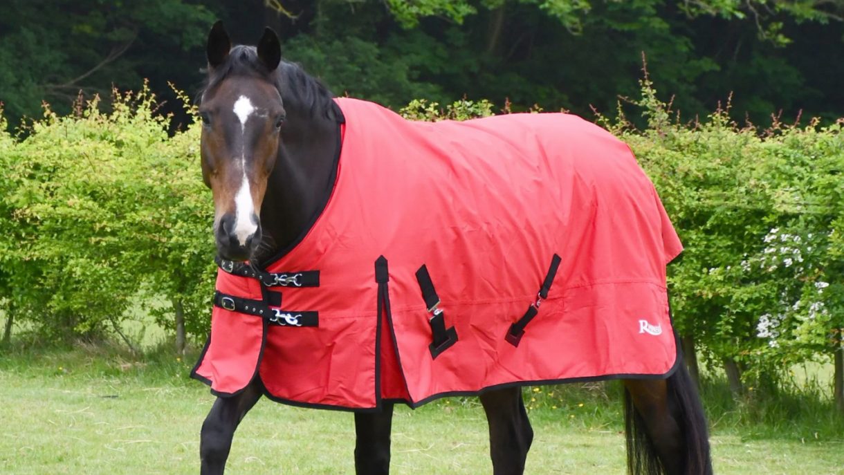Best medium weight turnout rugs with up to 250g fill | Horse & Hound