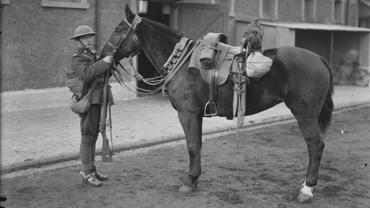 Desperate attempt to save First World War stables from demolition for ...