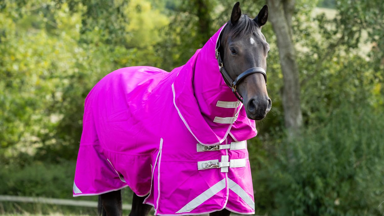 Best lightweight turnout rugs with 50–150g fill | Horse & Hound