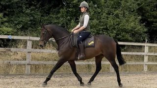 Meet 2022 HOYS judge Sue-Helen Shuttleworth - Horse & Hound