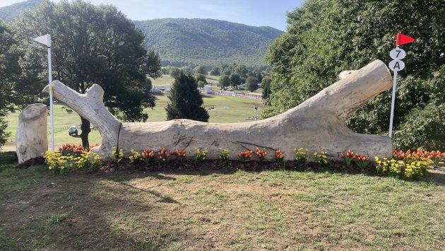 Eventing World Championships cross-country course: photos of the fences