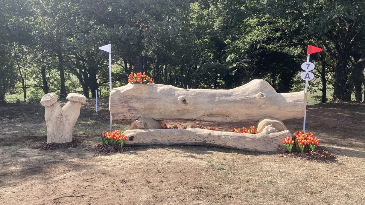 Eventing World Championships cross-country course: photos of the fences