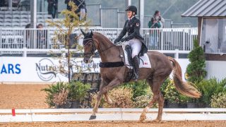 Maryland 5 Star cross-country: horse back from broken withers for second