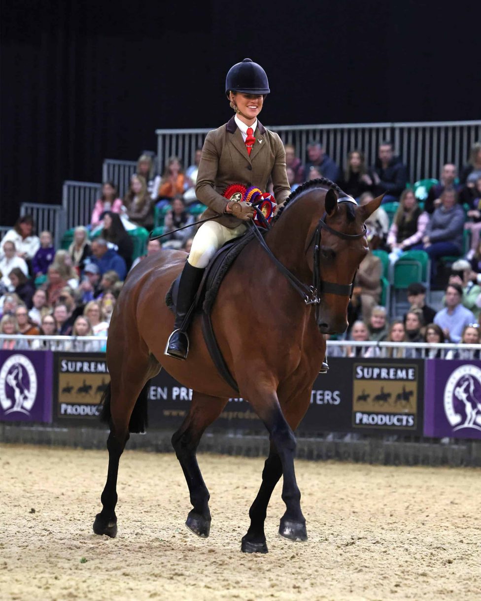 Show ring winners from HOYS 2022 - Horse & Hound