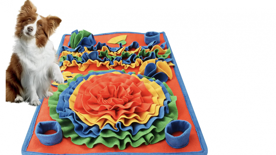 Best snuffle mats for dogs: to encourage natural foraging instincts