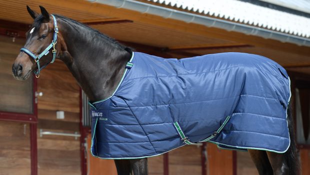 Best stable rugs for keeping your horse warm this winter | Horse & Hound